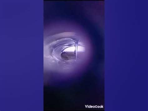Inside A Shampoo Bottle Youtube