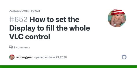How To Set The Display To Fill The Whole Vlc Control · Issue 652