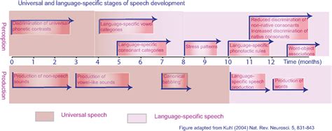 Frontiers Two Tongues One Brain Imaging Bilingual Speech Production