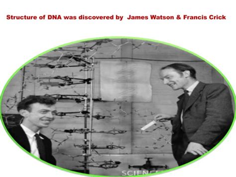 Nucleic Acid Chemistry Pptx
