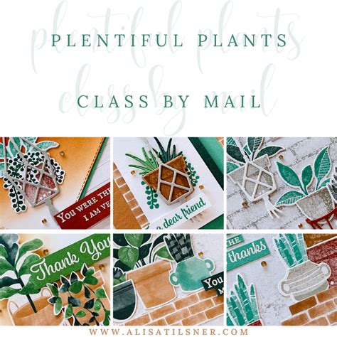 plentiful plants class by mail instructions alisa tilsner