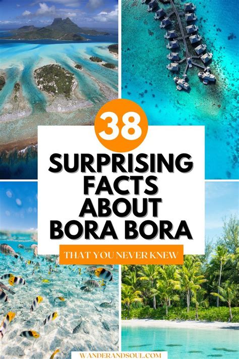 Best Snorkeling In Bora Bora Ultimate Guide To Snorkeling In Bora Bora Artofit