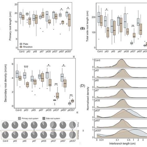 Tom Beeckman Professor Full Phd Ghent University Gent Ughent