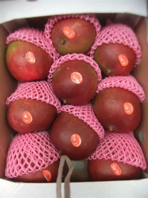 Foam Fruit Packaging Net At Best Price In Laizhou Laizhou Guoliang Packing Products Co Ltd