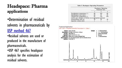 Headspace Analysis Pdf