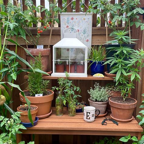 Gracies Mini Gardens Amazon Page