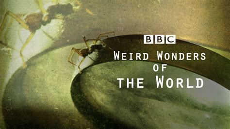 Bbc America Watch Tv Shows And Movies Online Stream Current Episodes
