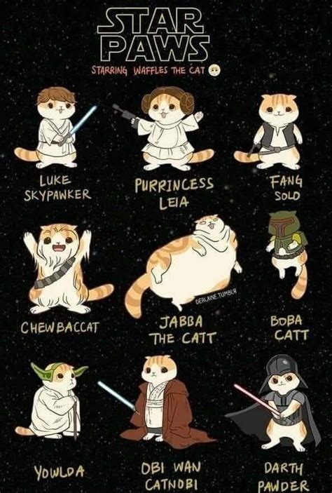 Pin By Stefanie Shilliam Anderson On Star Wars Mama Funny Cats Funny
