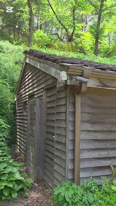 너와집 가는 길 Youtube