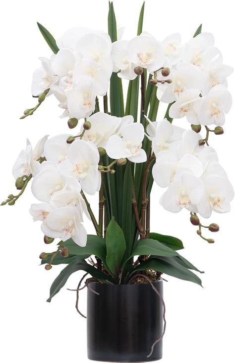 Cxgs Artificial Orchid Flower Plants Real Touch Faux