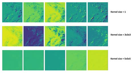Feature Maps Outputted By Different Branches Inside The First