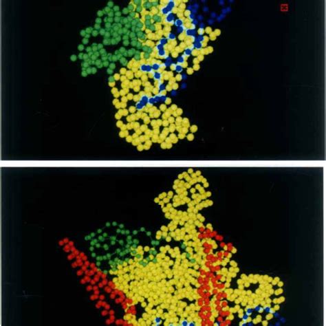 The Genetic Code The Eight Codon Boxes With Shaded Background Are The Download Scientific