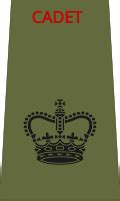 Army Cadet Force Wikipedia