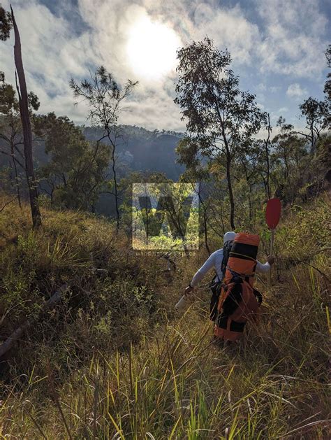 Paddling The Herbert River