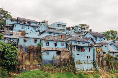 Java Île De Découvrez Lhistoire Fascinante De Cet écosystème Riche Configosfconfigosf