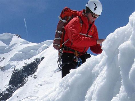 Andrea Basso The Walking Robin