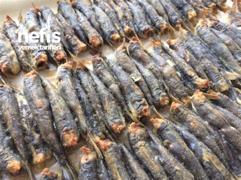 Fırında Çıtır Sardalya Az Yağlı Ve Pratik Nefis Yemek Tarifleri