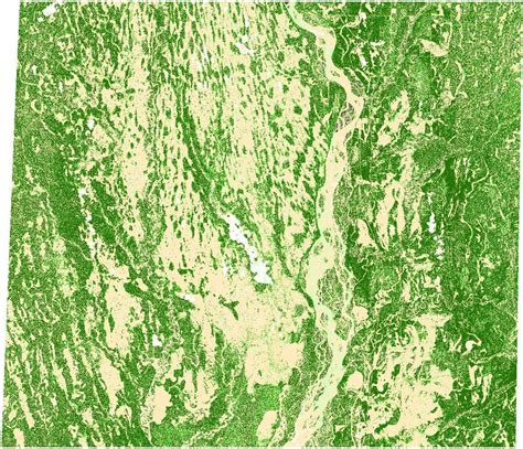 Canopy Height Classification Download Scientific Diagram