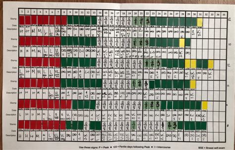 Creighton Model Instructions At Nancy Hickman Blog