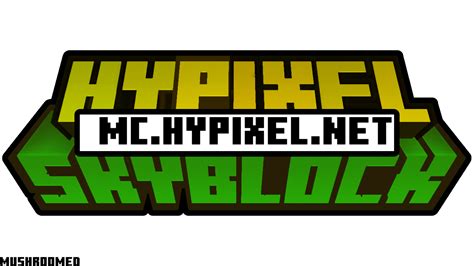 Minecraft Skyblock Logo