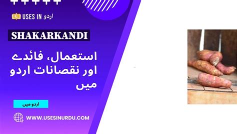 شکرکندی کے صحت کے فوائد اور استعمالات اردو میں Uses In Urdu