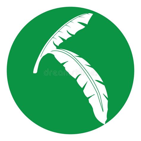 Banana Leaf Design Stock Vector Illustration Of White 325052139