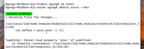 error running adonis serve dev · issue 902 · adonisjs core · github