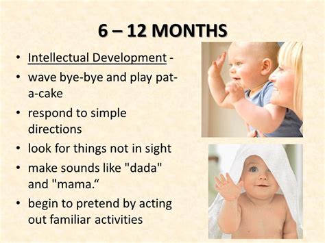 Developmental Stages Of Infants Ppt Video Online Download