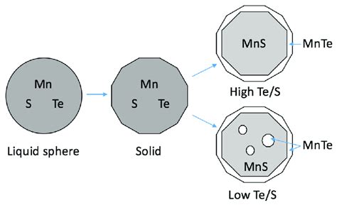 Schematic Diagram Of The Generating Process Of Mns Inclusions With Te Download Scientific