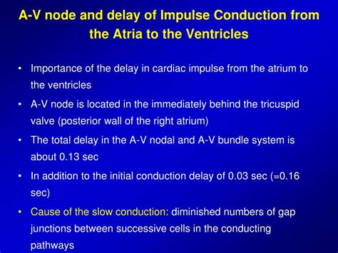 Ppt Rhythmical Excitation Of The Heart Powerpoint Presentation Free