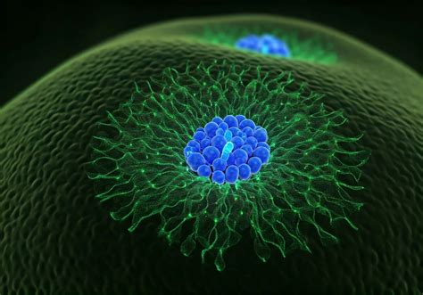 Cell And Gene Therapy Cell And Gene Therapy Cleanrooms