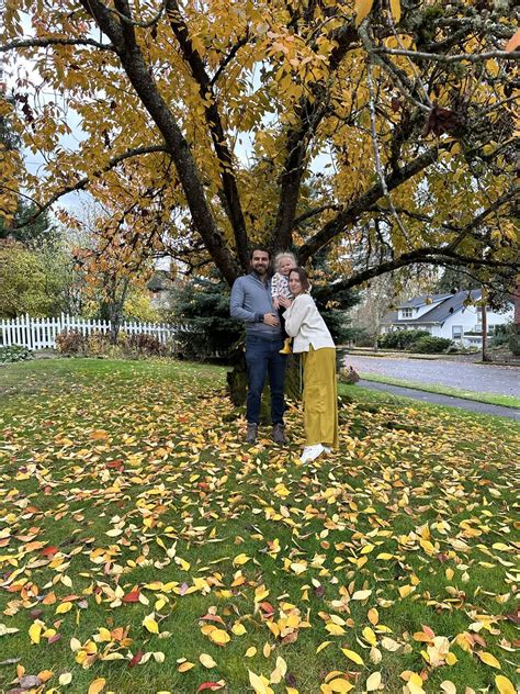 Img 0286 Mahmoud Hashemi Flickr