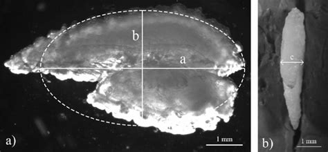 Example Of Ellipsoid Fitting Parameters A Horizontal Projection Of