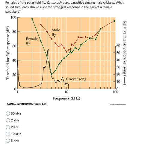 Females Of The Parasitoid Fly Ormia Ochracea