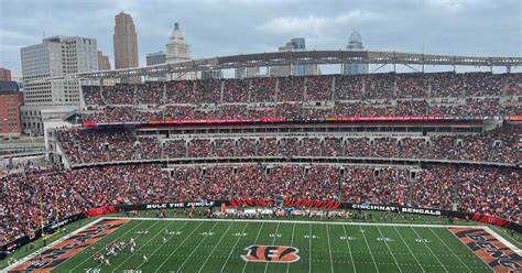 Cincinnati Bengals Football Game At Paycor Stadium Klook
