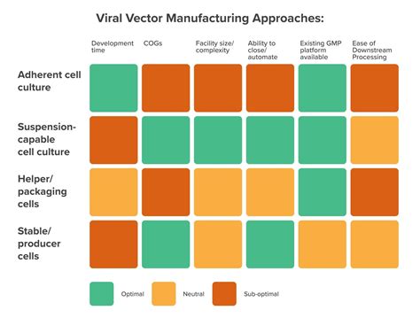 How To Achieve A Viral Vector Manufacturing Facility At Scale Crb