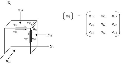 Pytorch 核心数据结构：tensor 详解与操作指南 知乎