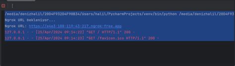 Python Ngrok Web Server Exposing Your Local Web Application
