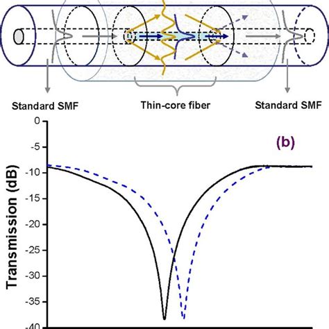 Pdf Biocompatible Fiber Optic Ph Sensor Based On Optical Fiber Modal