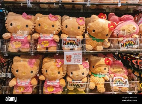 Hello Kitty Hawaiian Themed Plush Dolls For Sale In An Abc Store In