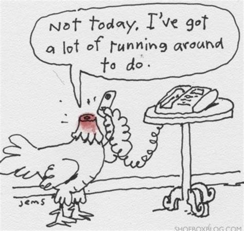 Headless Chicken Memes