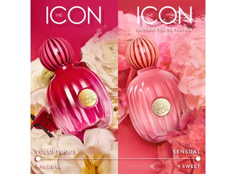 Ripley - PERFUME ANTONIO BANDERAS THE ICON SPLENDID MUJER EDP 100 ML