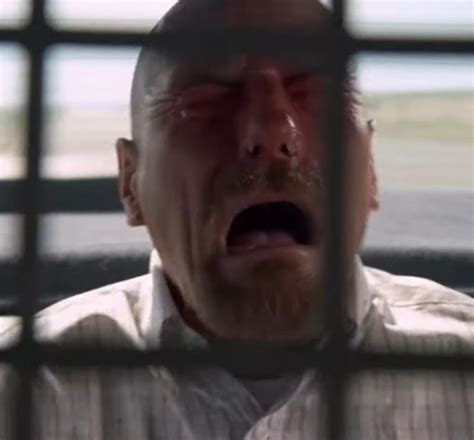 Why Did The Cop Pepper Spray Walt He Was Just Expressing His Opinion