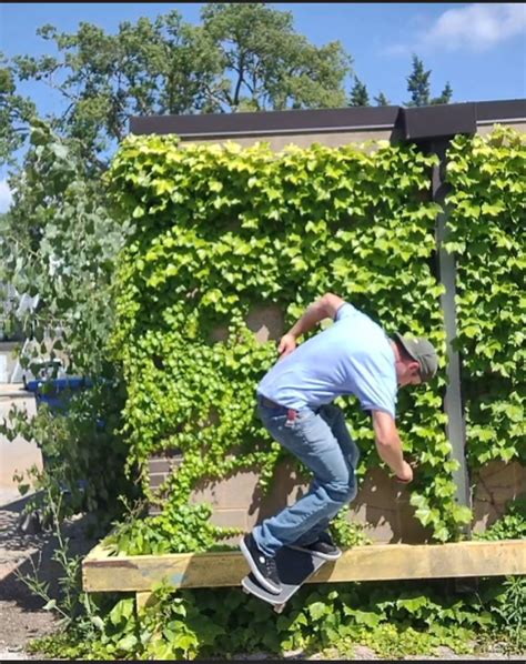 265 Best Shrubbery Images On Pholder Unexpected Monty Python Monty