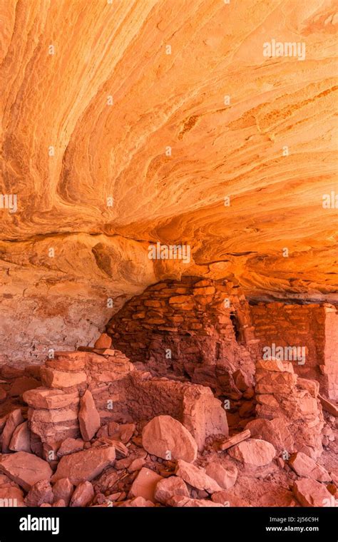 A Cliff Dwelling In The Moon House Ruin Complex On Cedar Mesa Bears