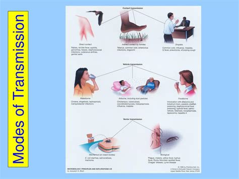 Modes Of Transmission And Examples At Angela Rich Blog
