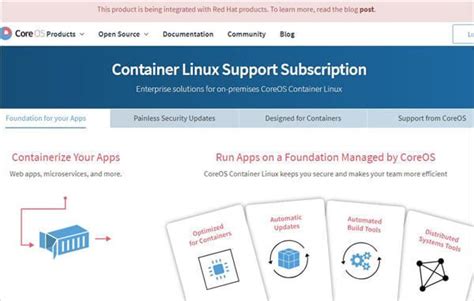 The 10 Top Container Software In 2026