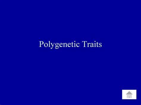 Genetics Test Review By Mrs Young Ppt Download