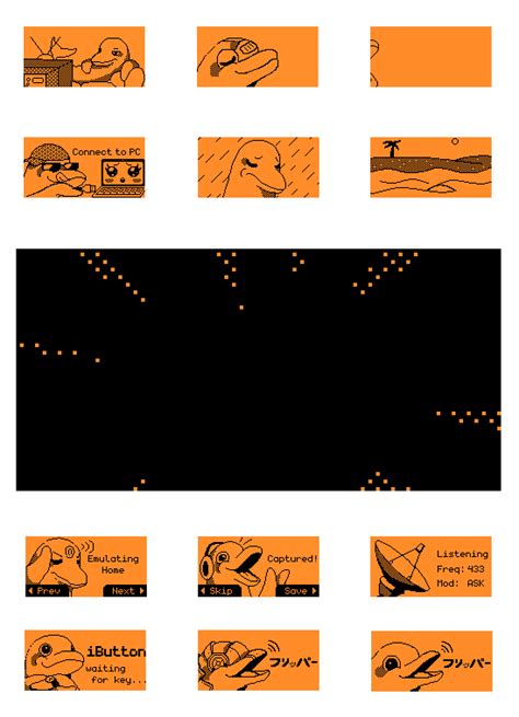 Flipper Graphics Behance