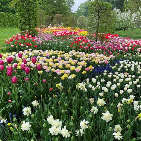 Highlighting Your Yard Bringing Order And Beauty With Borders Gardenoz